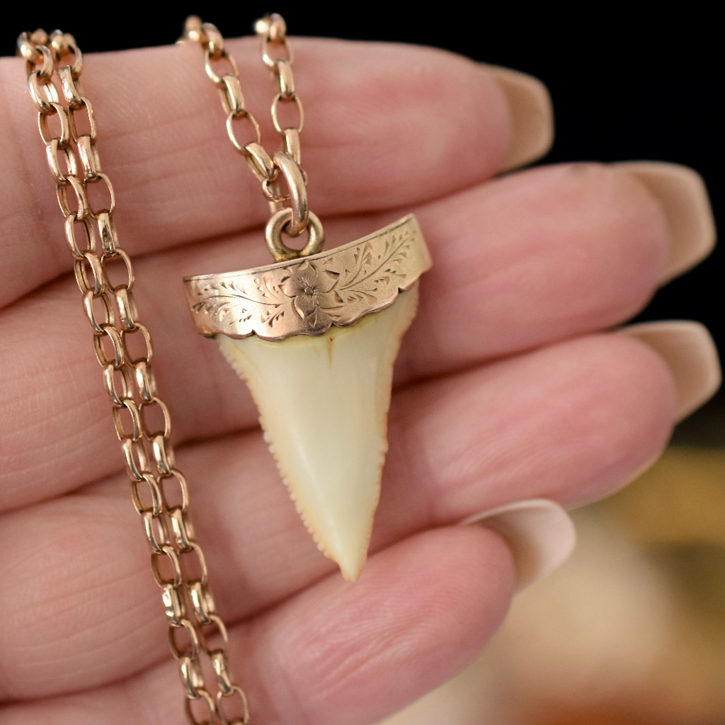 Antique 9ct Rose Gold Sharks Tooth Pendant Circa 1900 - Graisons Fine ...
